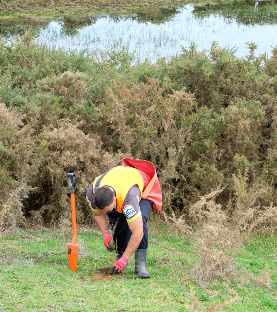 CBEC Property Services - CBEC Business